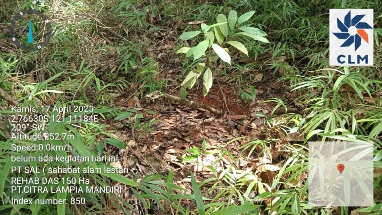 PT CLM Lakukan Rehabilitasi DAS Ribuan Hektare