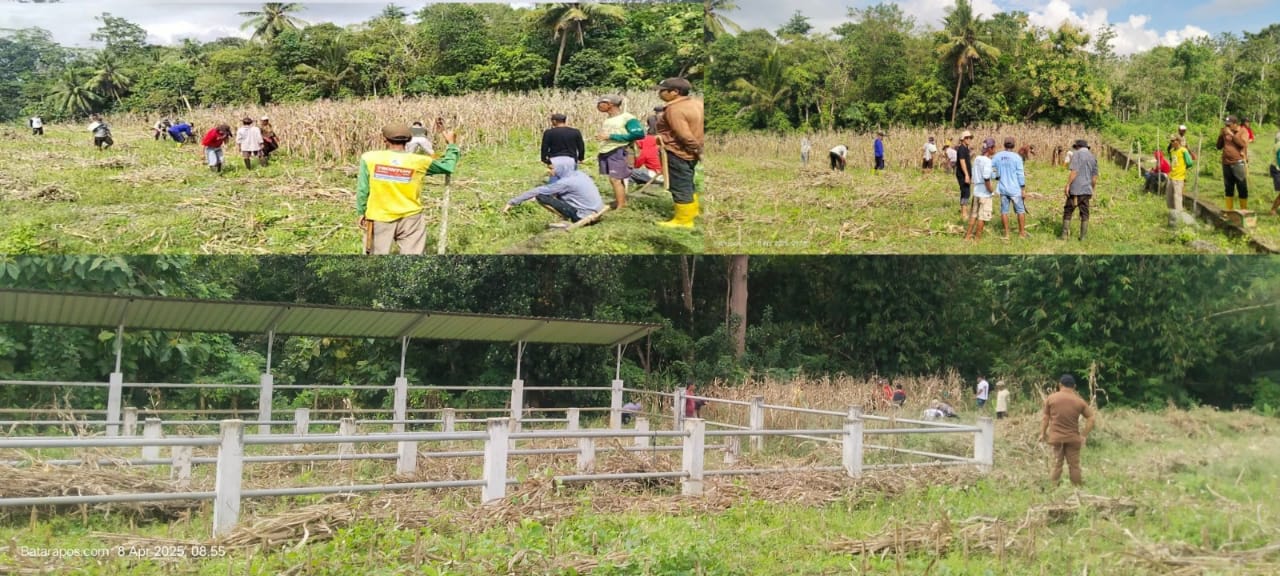 Pemdes Selli Bakal Optimalkan Kebun Desa dan Gandeng BUMDesa Mitra Kerja